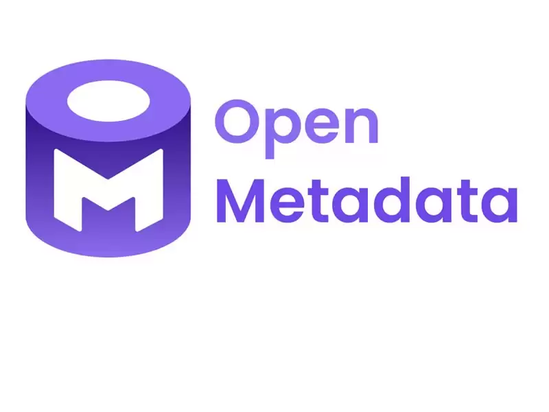 How To Build OpenMetaData In Your Company? A Complete Guide - Insight Blog